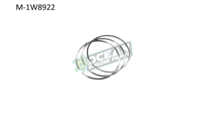 Interstate-McBee Piston Ring Kit - M-1W8922